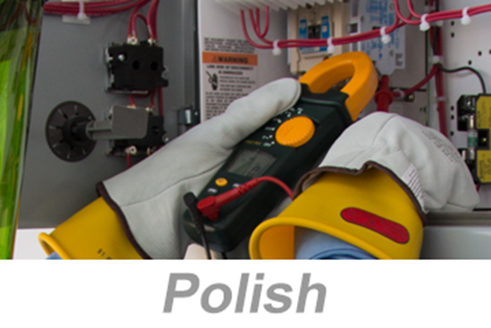 PureSafety On Demand. Recognizing Electrical Hazards Awareness (Polish)