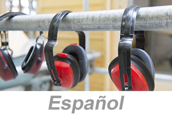 PureSafety On Demand. Hearing Conservation (Spanish)