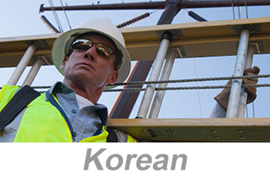 PureSafety On Demand. Ladder Safety (Korean)