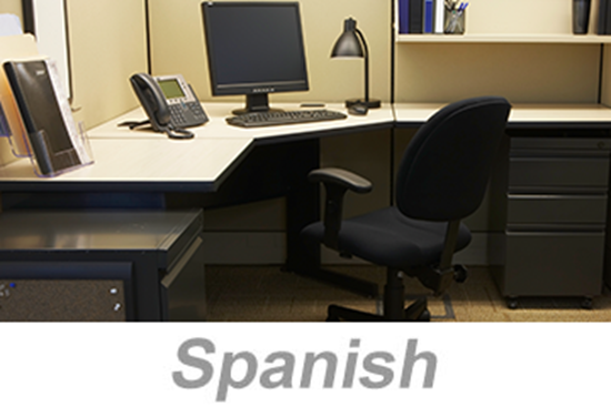 PureSafety On Demand. Office Ergonomics Essentials (Spanish)