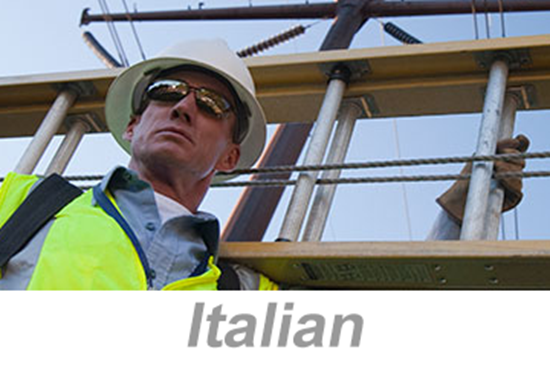 PureSafety On Demand. Ladder Safety (Italian)