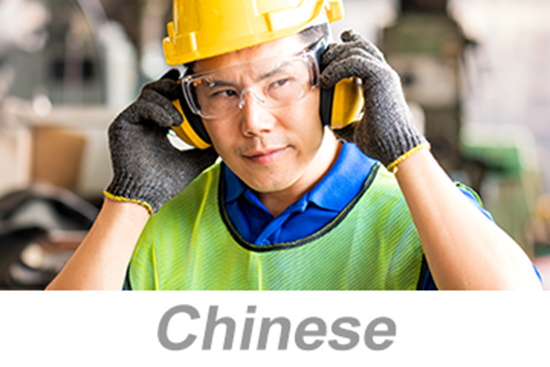 PureSafety On Demand. Personal Protective Equipment (PPE): Hearing ...