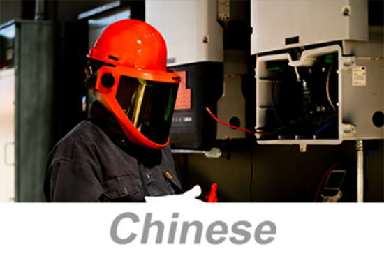 PureSafety On Demand. Personal Protective Equipment (PPE): Electrical ...