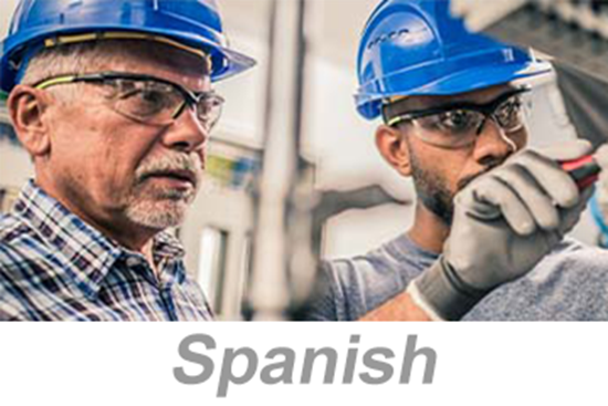 PureSafety On Demand. Personal Protective Equipment (PPE): Head ...